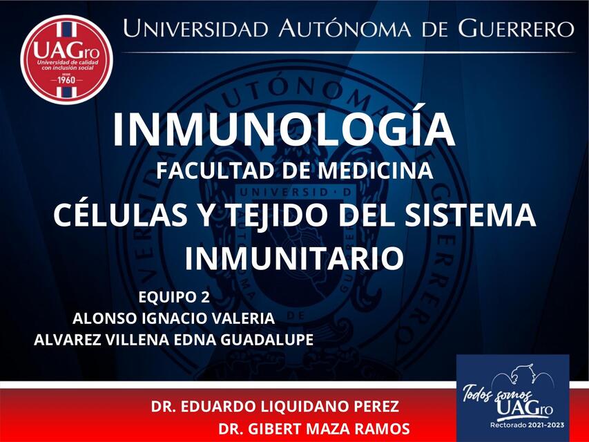 Flashcards de Células y tejidos del sistema inmunitario | Por CARMONA ALVAREZ | uDocz