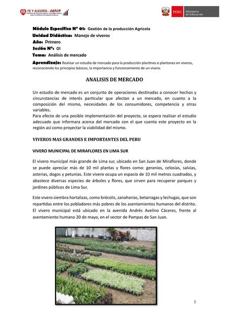 PDF 01 ANALISIS DE VIVERO | Alondra | uDocz