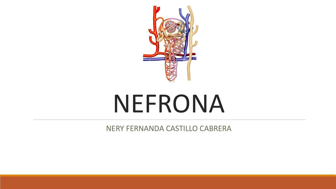 Nefrona | Alondra Jaqueline | uDocz