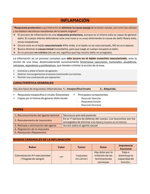 INFLAMACIÓN | Jennifer Campos Aguayo | uDocz