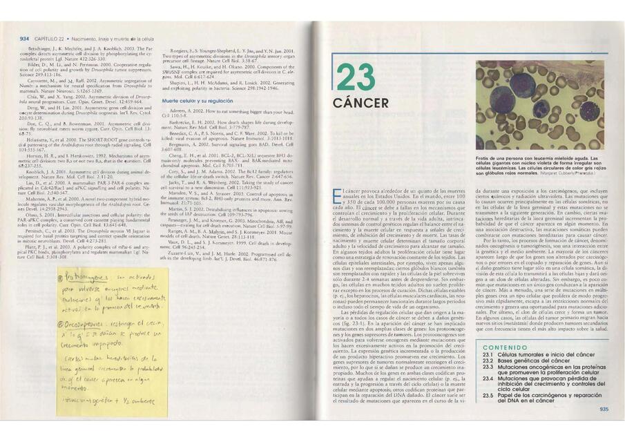 Flashcards de Cancer Lodish Biología Molecular y Celular 5ta ed | Por ...