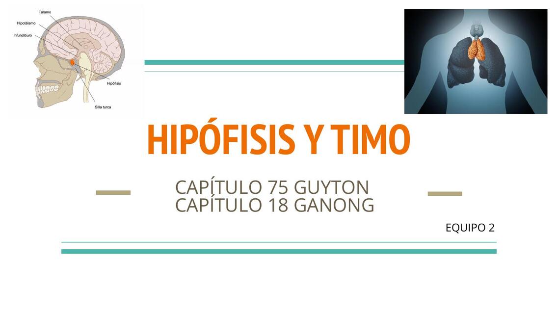 HIPOFISIS | María Elena Gómez Gasca | uDocz