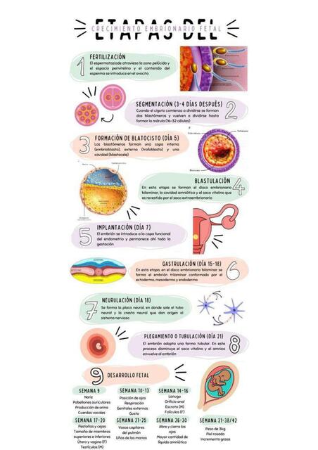 21a2cb6daadd | Ulises Bárcenas Damas | uDocz