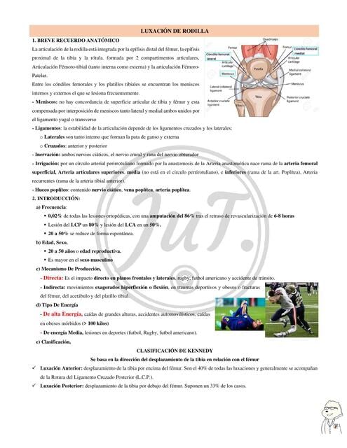 LUXACION DE RODILLA | Julian Torrez | uDocz