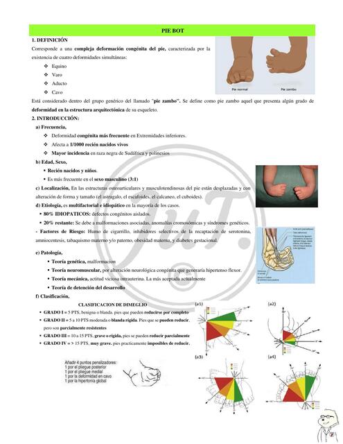 PIE BOT | Julian Torrez | uDocz