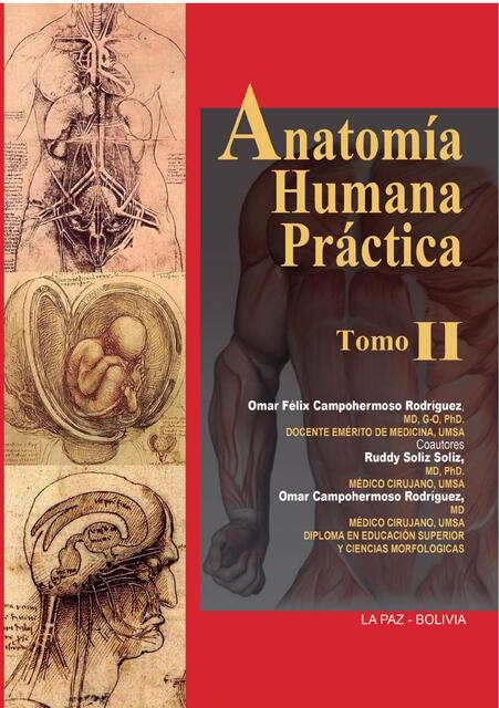 Anatomía humana | uDocz