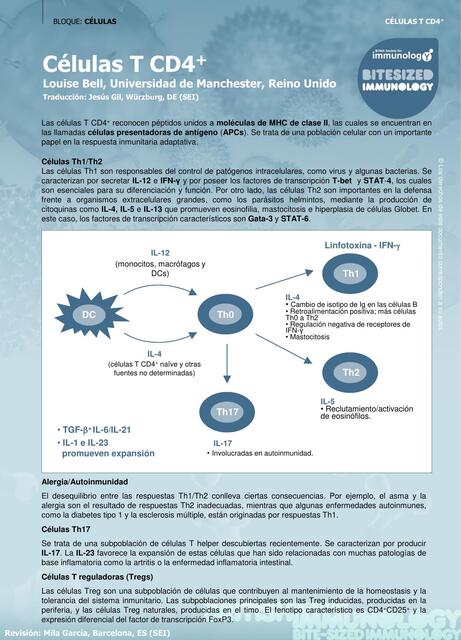 Flashcards de 4 CD4 T cells Células T CD4 | Por sander mamani | uDocz