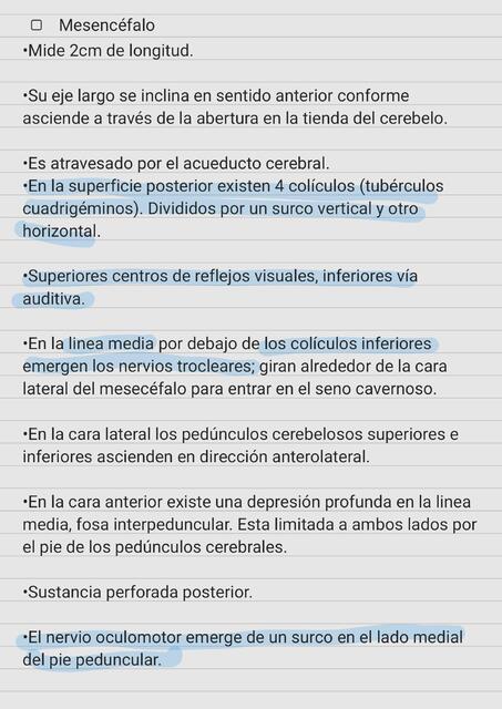 II Parte del Resumen de Neuro | Cesia | uDocz