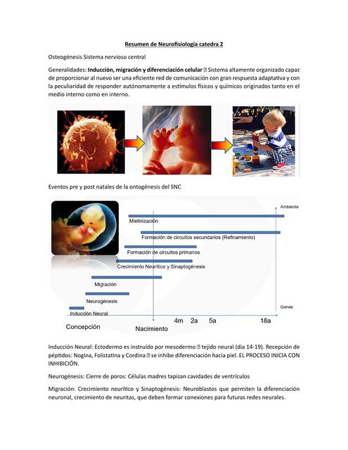 Resumen catedra 2 de Neurofisiología catedra 2 | Jennifer Campos Aguayo ...