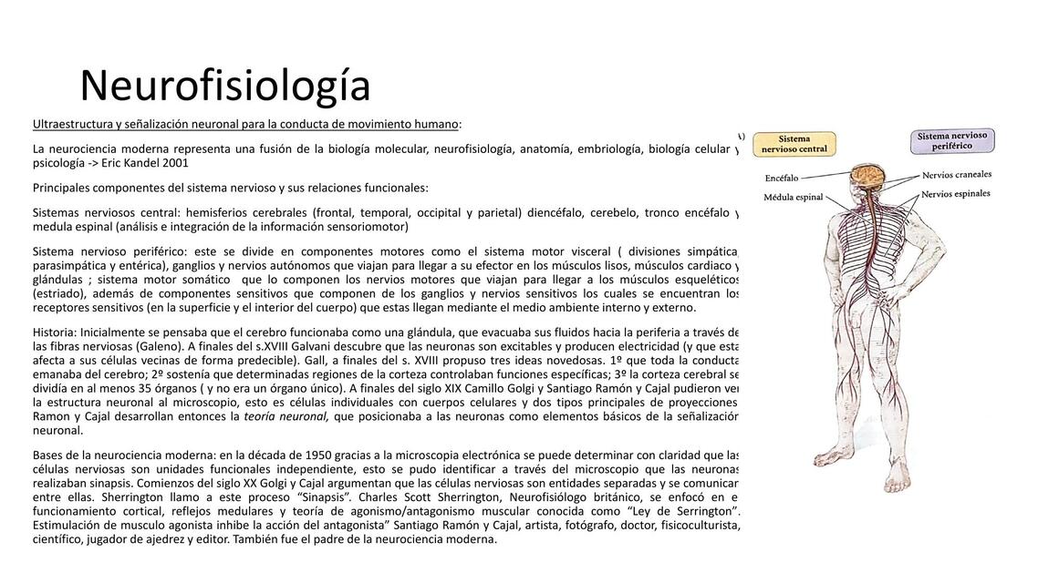 Neurofisiología resumen catedra 1 | Jennifer Campos Aguayo | uDocz