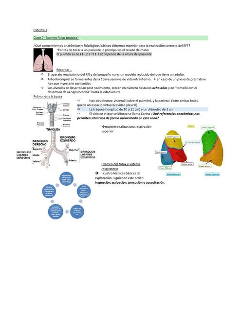 Cátedra catedra 2 evaluacion kinesica | Jennifer Campos Aguayo | uDocz