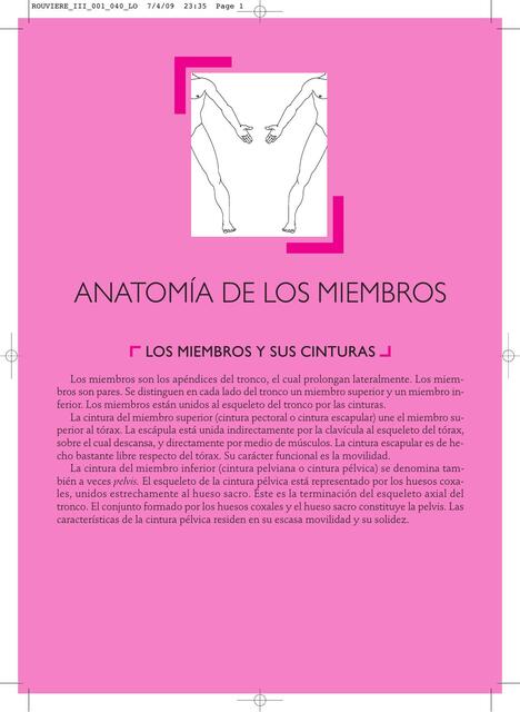 ruviere tomo 3 miembro superior | Neyda | uDocz