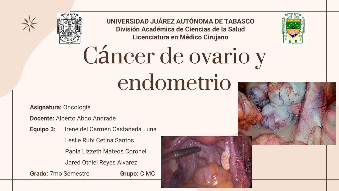 7C Equipo 3 Ca de ovario y endometrio 21 | Carlos Geronimo | uDocz