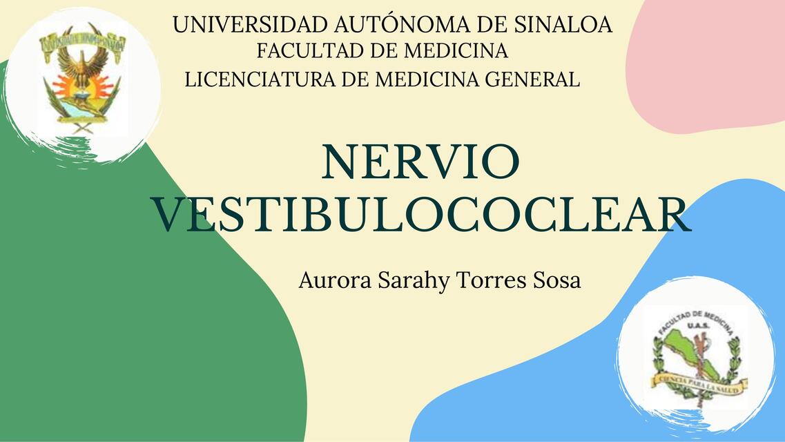 Nervio Vestibulococlear Aurora Sosa Udocz