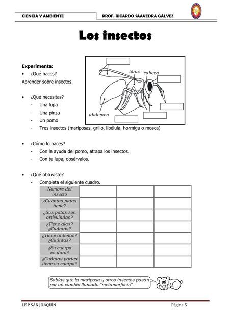 INSECT | Carlos Niño | uDocz