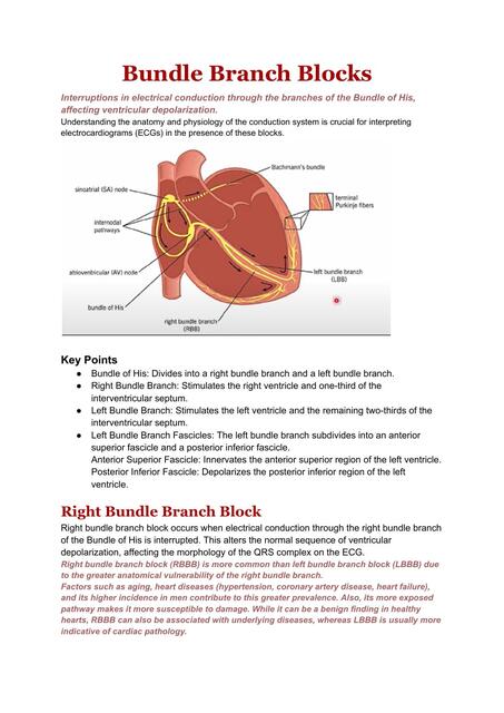 Bundle Branch Blocks | MARTORELL | uDocz