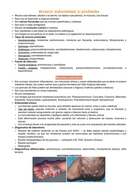 Micosis profundas | Resúmenes de medicina | Apuntes de medicina | uDocz Micosis profundas | Resúmenes de medicina | Apuntes de medicina | uDocz