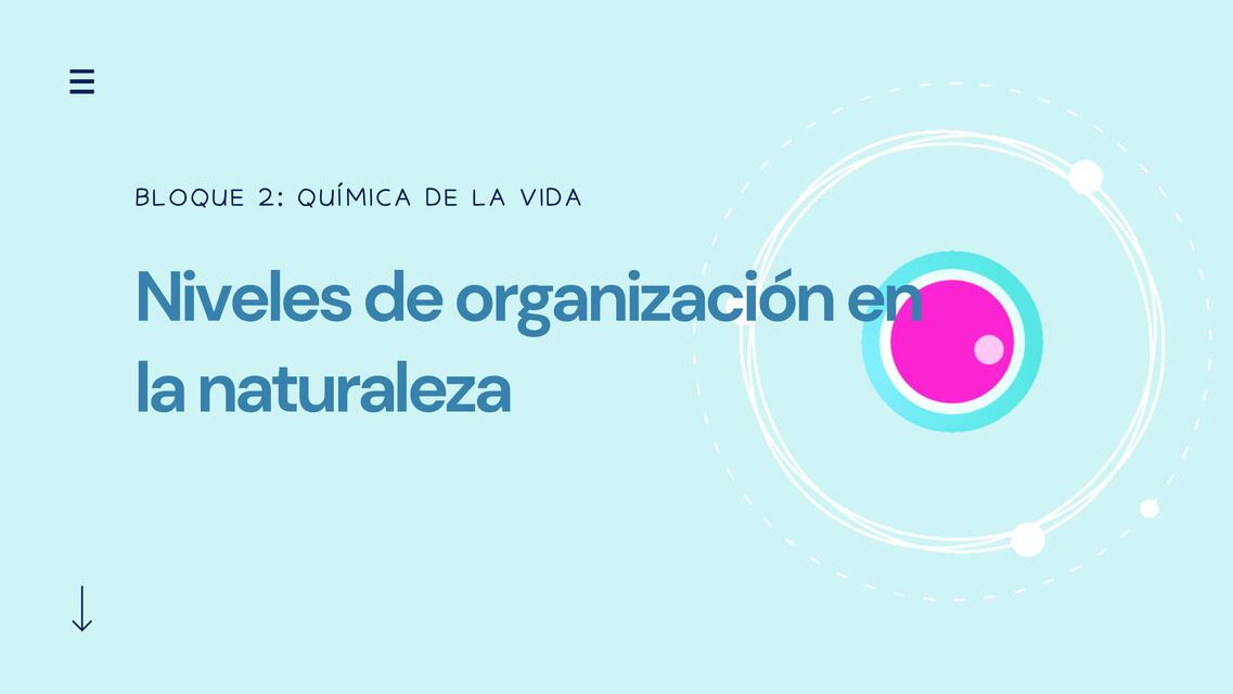 Niveles de organización biología - bloque 2 | Lyselia | uDocz