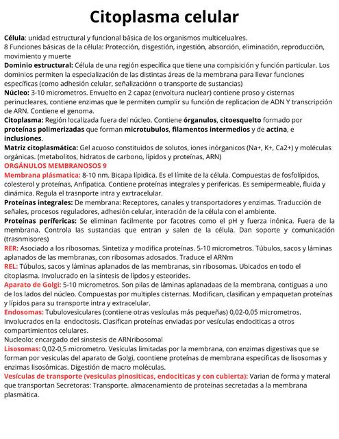 Citoplasma celular | STHEFANY CAROLINA | uDocz