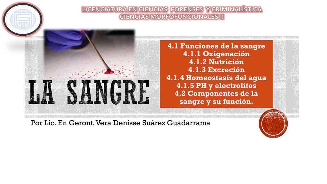 LA SANGRE Y RIÑON2 | Vera | uDocz