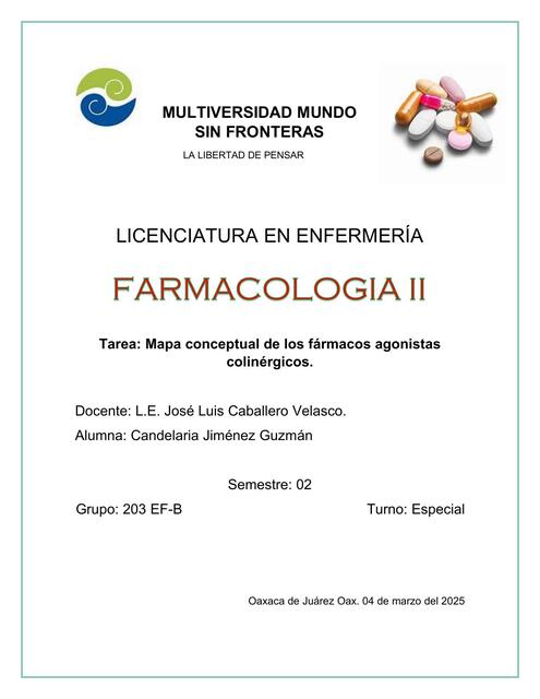 mapa conceptual1 | Cande | uDocz