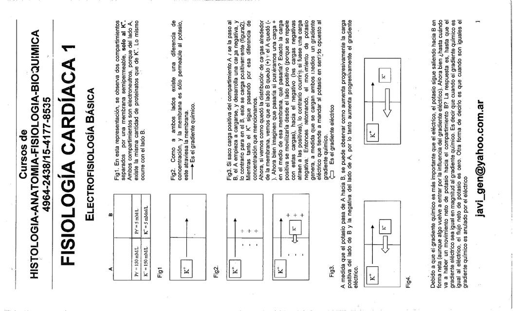 Cardio 2 Matheus Udocz