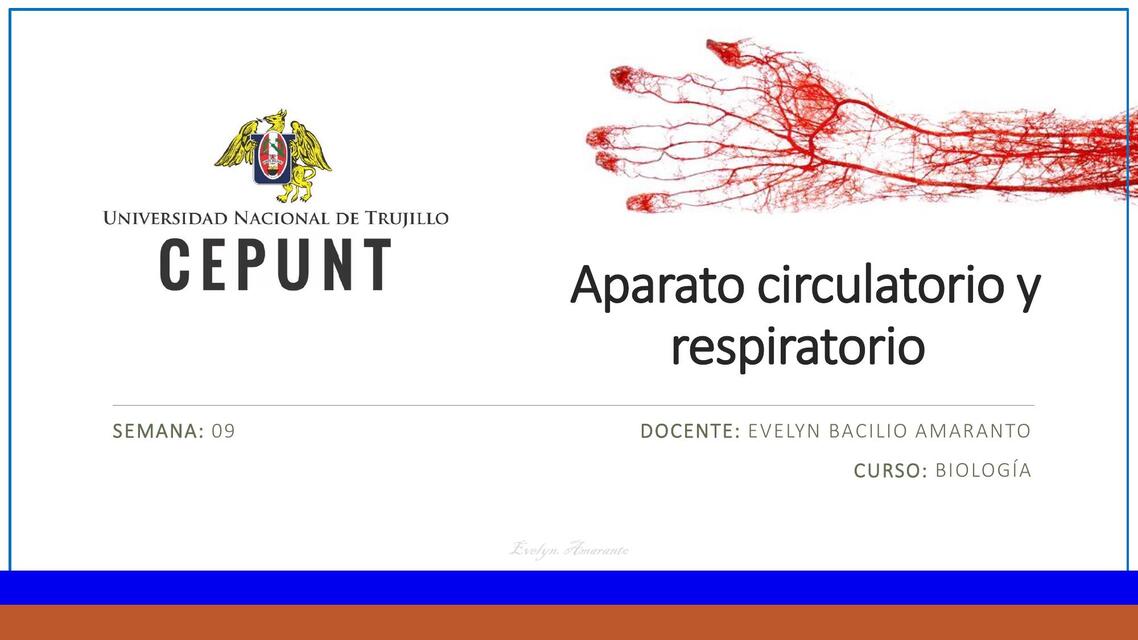 Aparato circulatorio y respiratorio | Genessis | uDocz