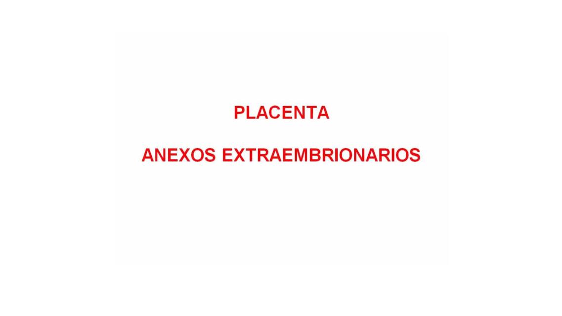 Placenta y anexos extraembrionarios | Evita Morales | uDocz