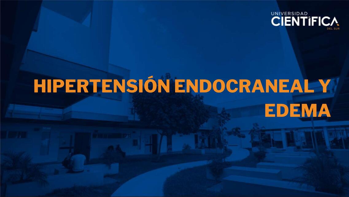 HIPERTENSIÓN ENDOCRANEAL | Alegui | uDocz