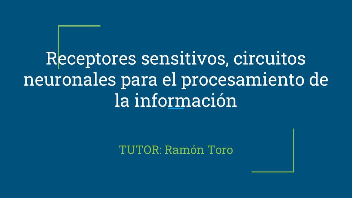 Receptores sensitivos circuitos neuronales para el | Ramón Toro | uDocz