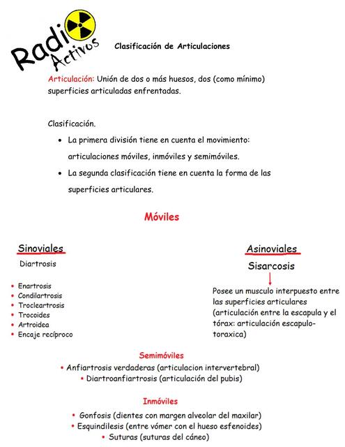 Clasificación de Articulaciones 2 | Lucia Martinez | uDocz