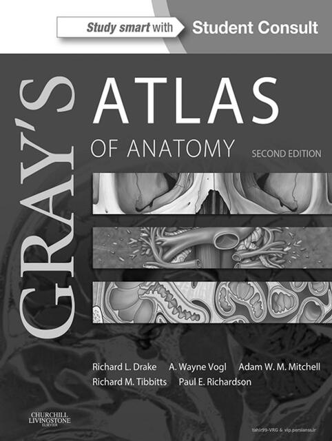 GRAY s Atlas of Anatomy | nathalia santana | uDocz