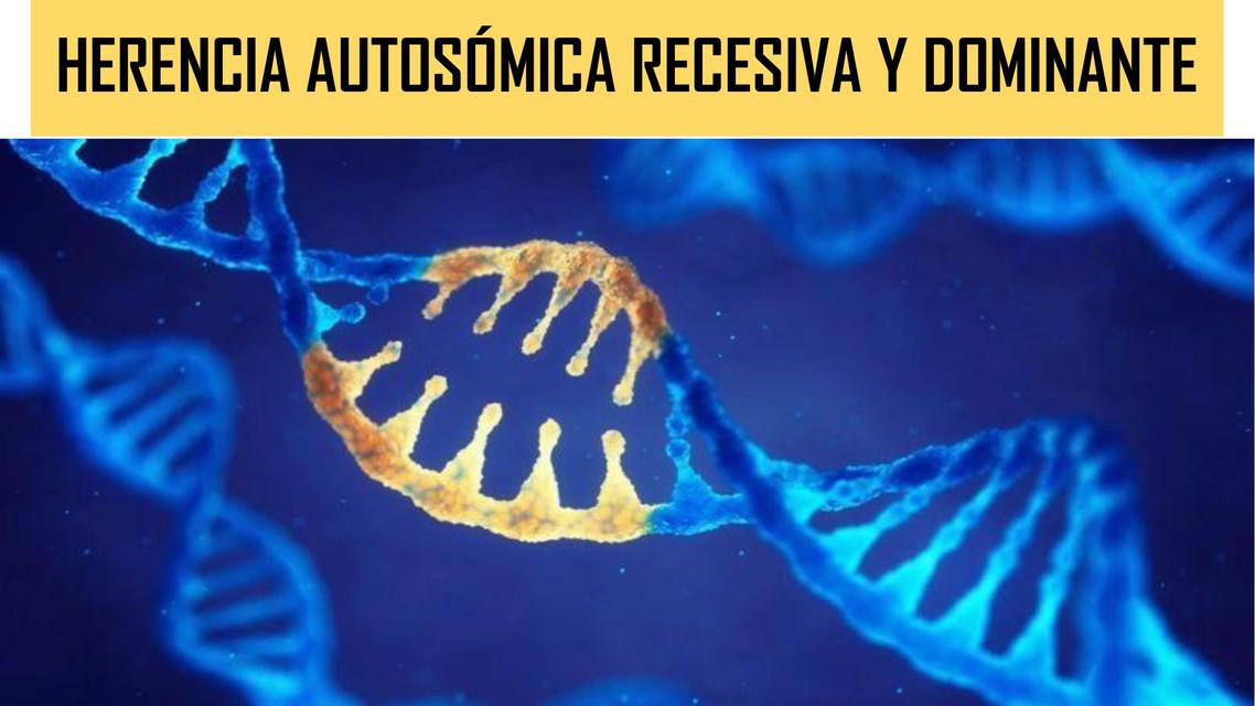GENETICA - HERENCIA AUTOSOMICA RECESIVA Y DOMINANTE | Jair García | uDocz