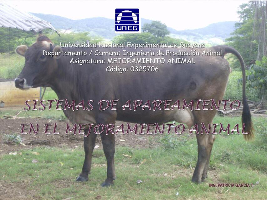 Flashcards de SISTEMAS DE APAREAMIENTO | Por Heiter | uDocz