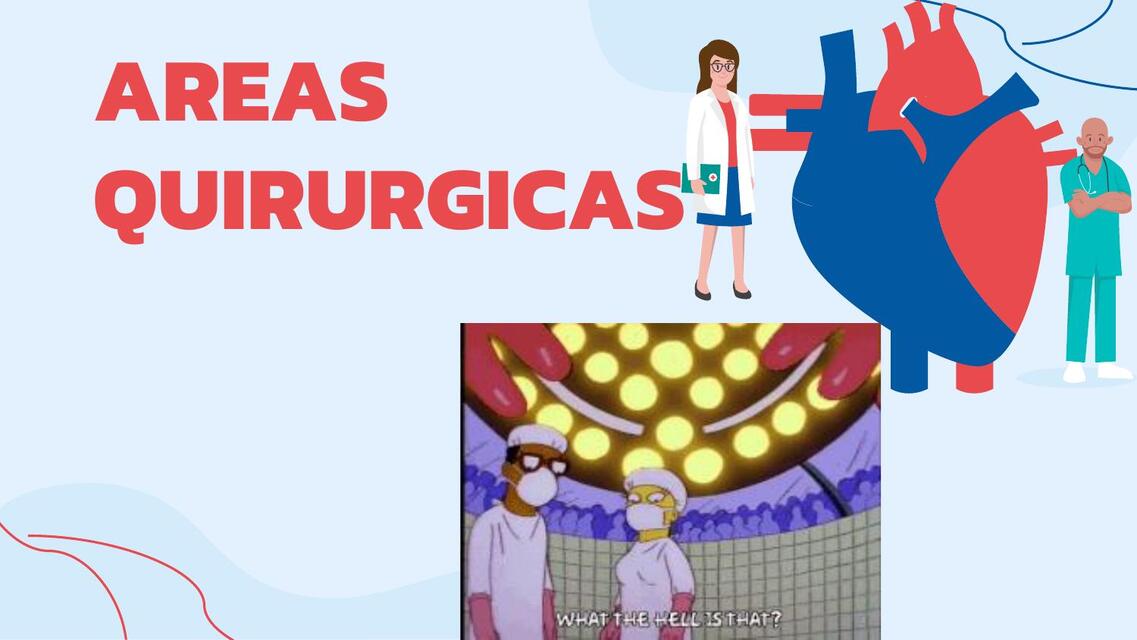 AREA QUIRURGICA | Sofia | uDocz