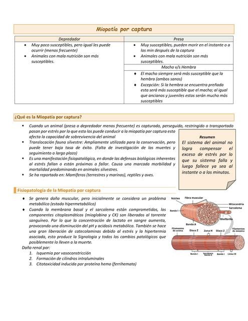 Flashcards de Clase 1 Medicina 2025 | Por StudyVet_Apuntes | uDocz