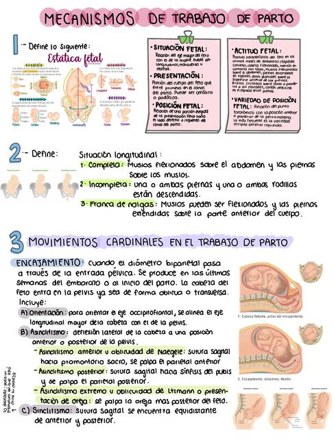 CUESTIONARIO 2 | Ashan C. | uDocz