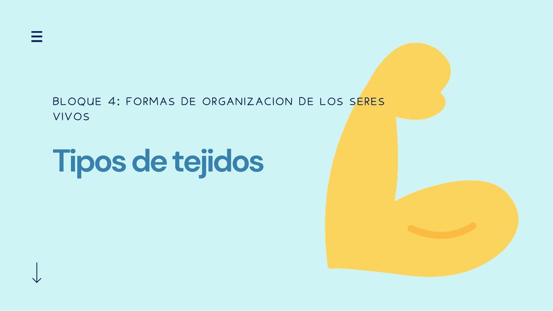Tipos de tejidos - bloque 4 | Lyselia | uDocz