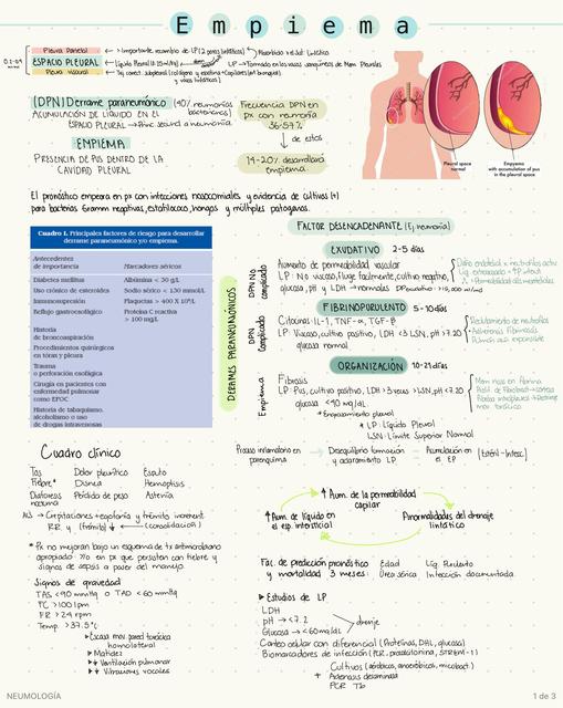 Empiema | BRISA GETHSEMANI ANAYA BRAVO | uDocz