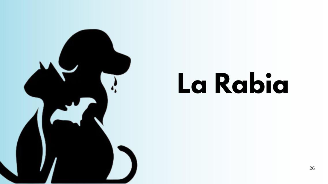 rabia presentacion | robzabeth | uDocz