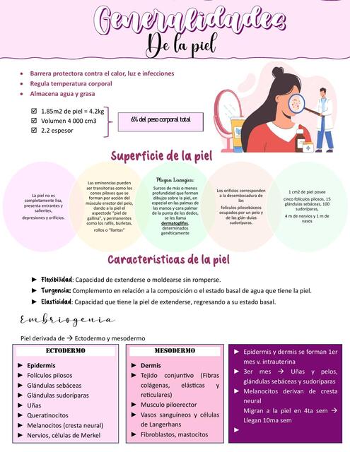 Generalidades de la piel | Irlanda Herrera | uDocz