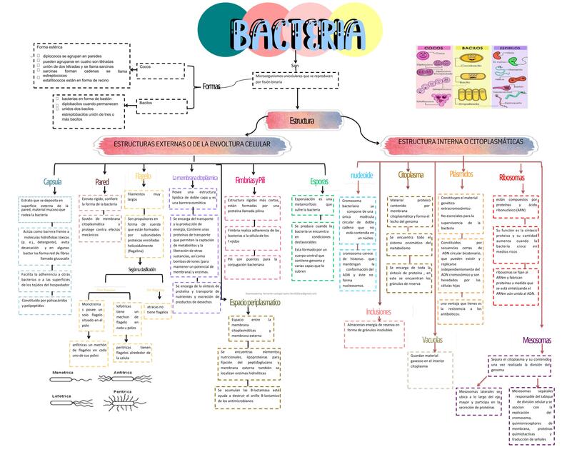 docsity bacteria generalidades pdf | FERNANDA | uDocz