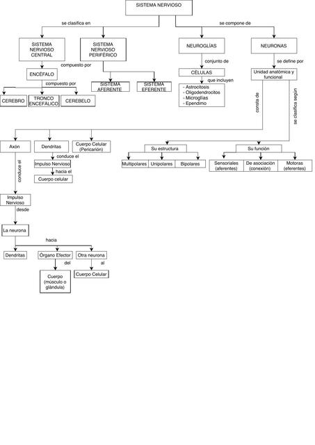 mapa snc | Mónica Antonella Conforti Jesús | uDocz