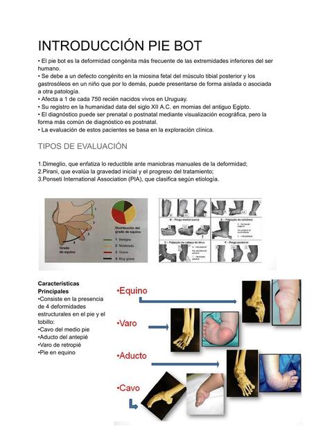 PIE BOT | Cielorrasospvc | uDocz