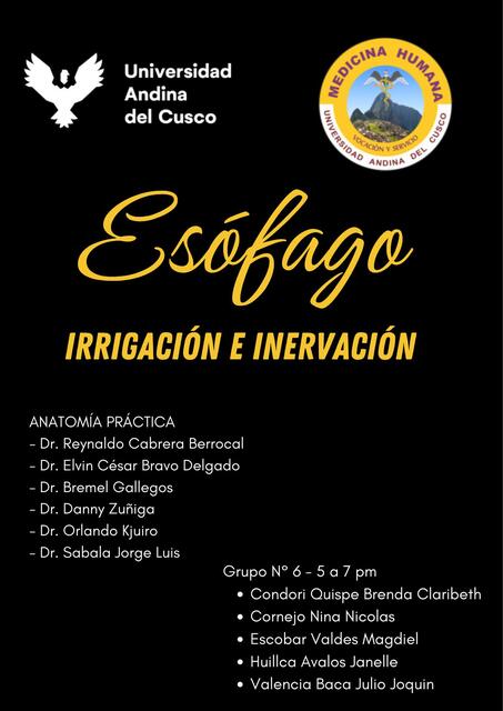 ESOFAGO IRRIGACIÓN E INERVACIÓN Grup N6 | BRENDA CLARIBETH CONDORI QUISPE | uDocz