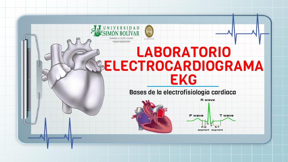 CARDIO 4 ELECTROCARDIOGRAMA | Loraine | uDocz