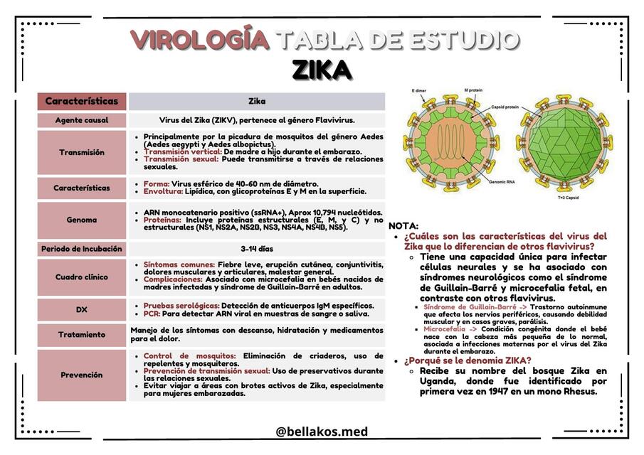 VIRUS DEL ZIKA - RESUMEN | Bellakos.Med | uDocz