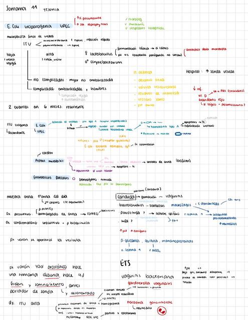 ITU E ITS | akani | uDocz
