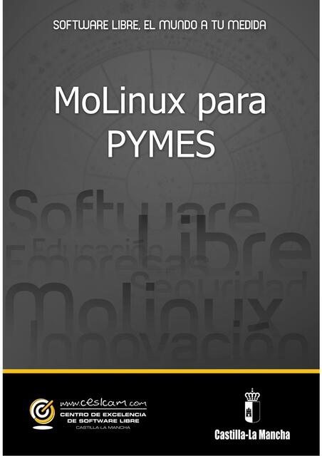 Guia Molinux para Pymes | DANIEL | uDocz