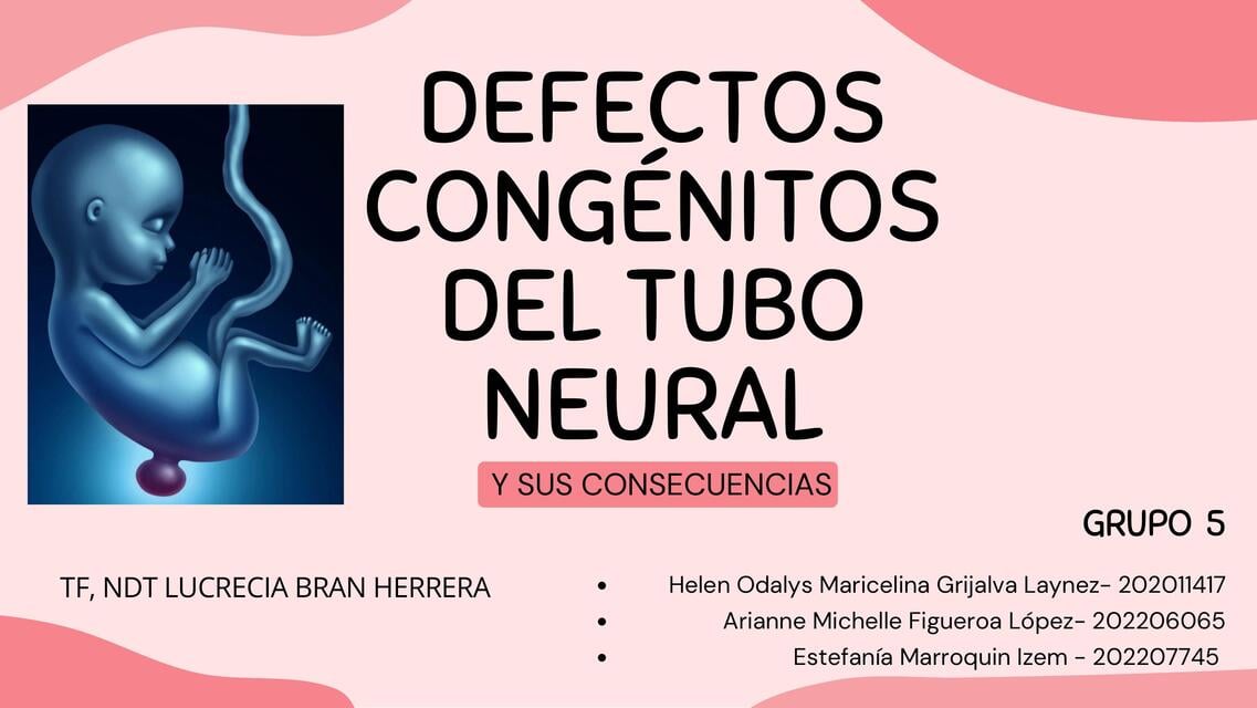 Presentación Defectos Congenitos del Tubo Neural | Ximena | uDocz